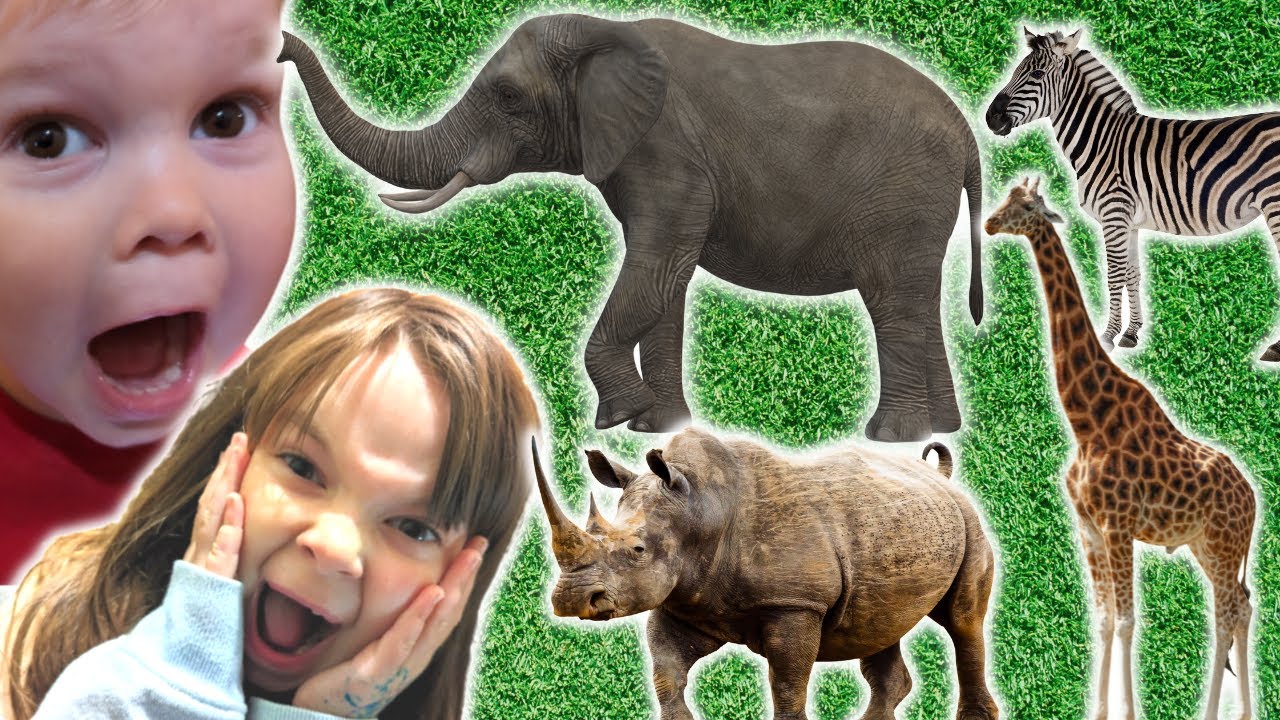 Zoo Animals Escape! Toy Zoo Animals Come to Life!!! - YouTube