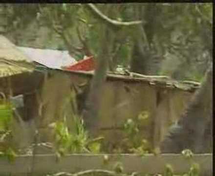 East Timor border contact at Motaain 10/10/1999 - YouTube