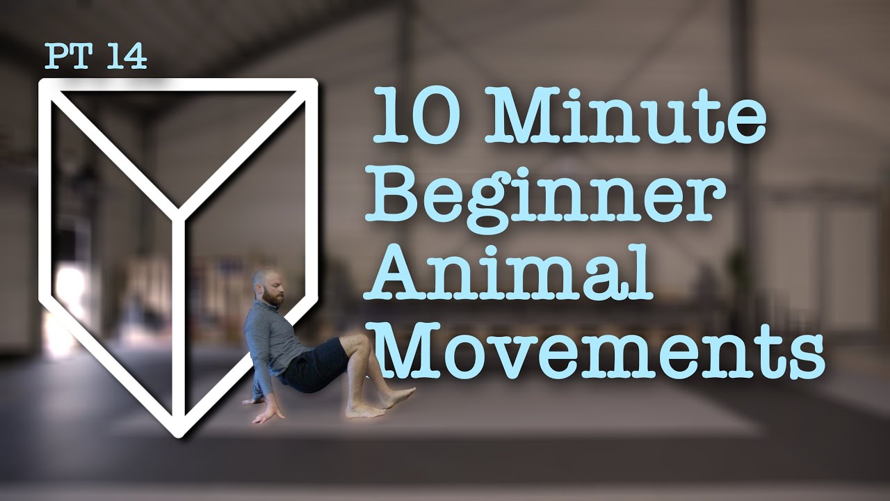Beginner Movement Workout - 10 Minute Full Body Warm-Up (Follow-Along ...