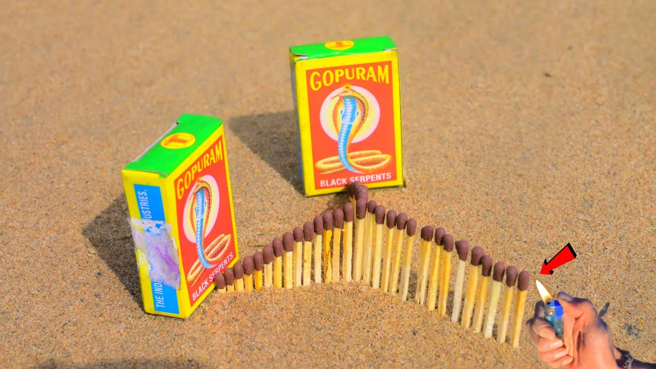 Snake Bombs Vs Chakari Matchsticks Amazing Experiment || BEAST INDIAN ...