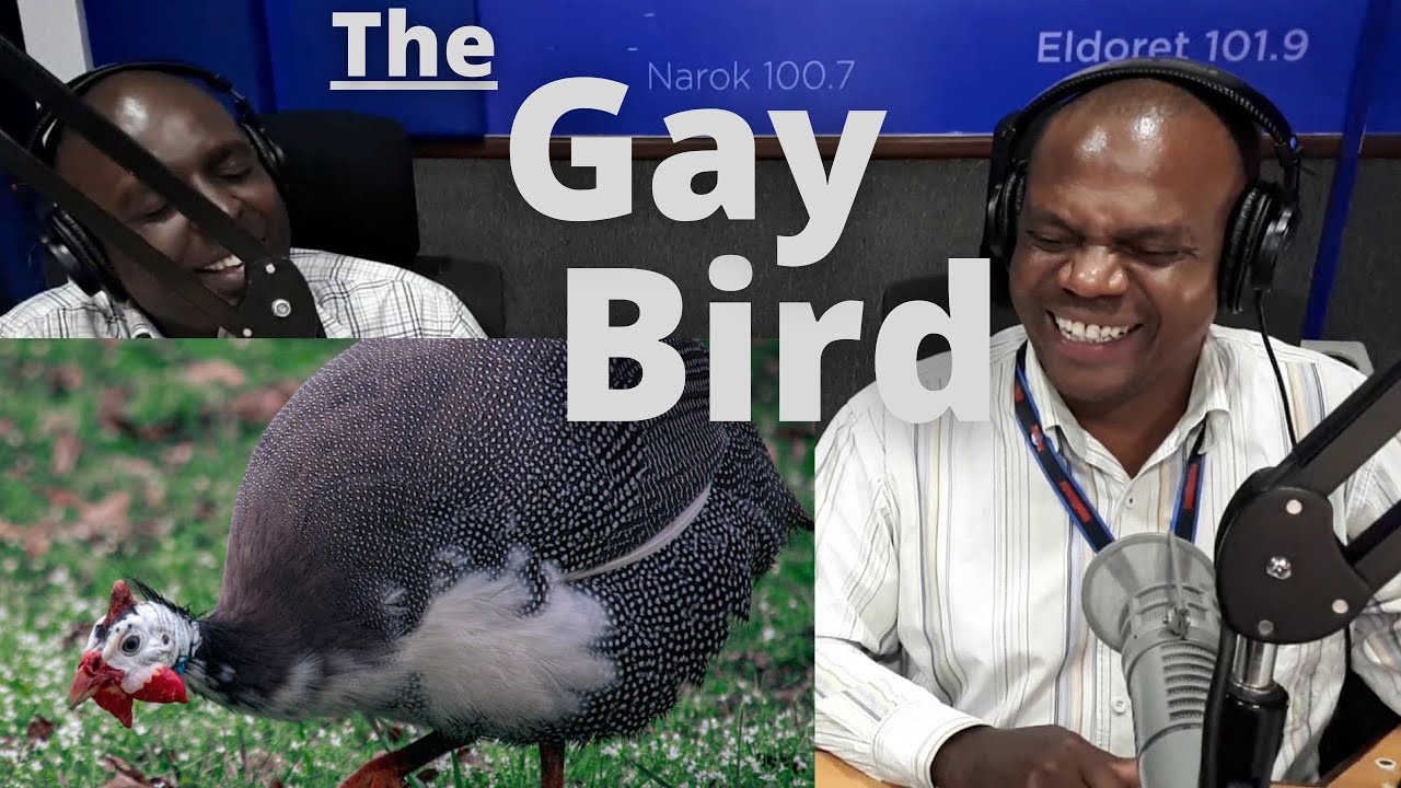 Nganga The Bird. Mansaimo na Kata. Kikuyu. - YouTube
