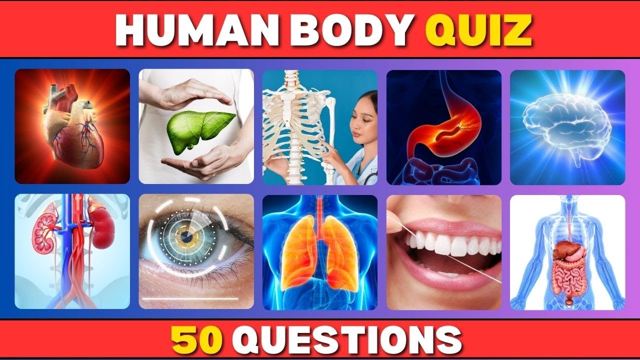 🧠 Can You Pass this 50 Human Body Quiz? | Fun & Educational Challenge ...