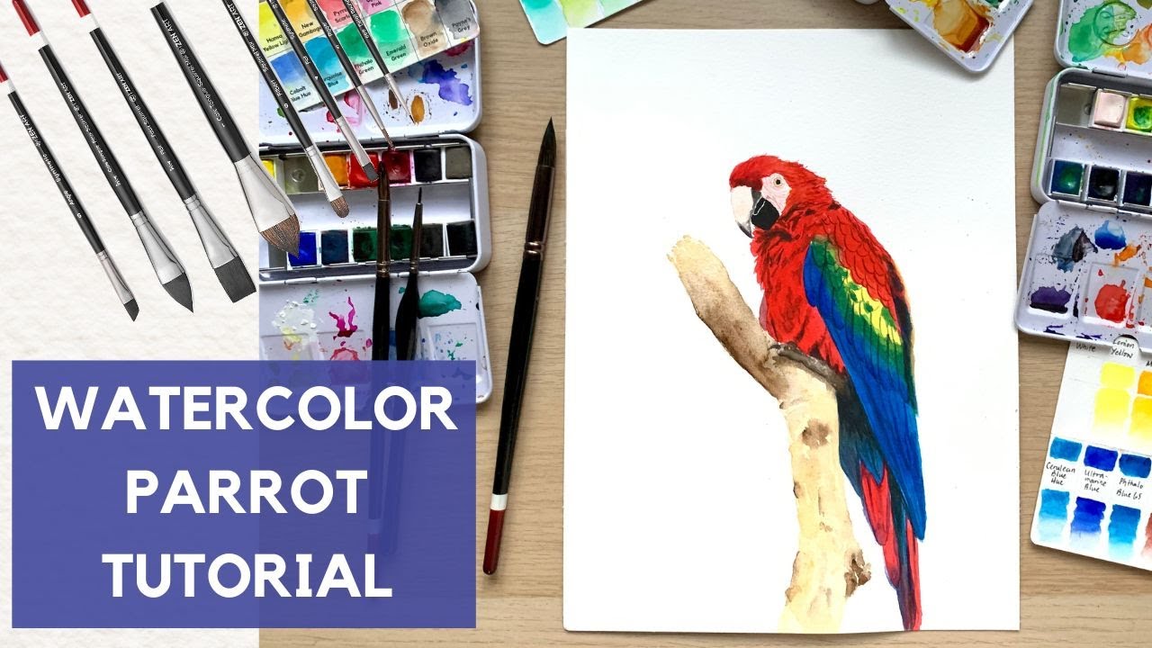Macaw Parrot Watercolor Painting Tutorial | easy watercolor tutorial of ...