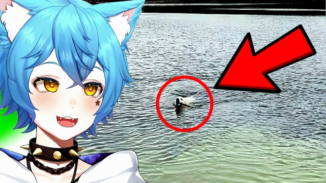 TikToks That Are ACTUALLY Funny | VTuber Reacts - YouTube