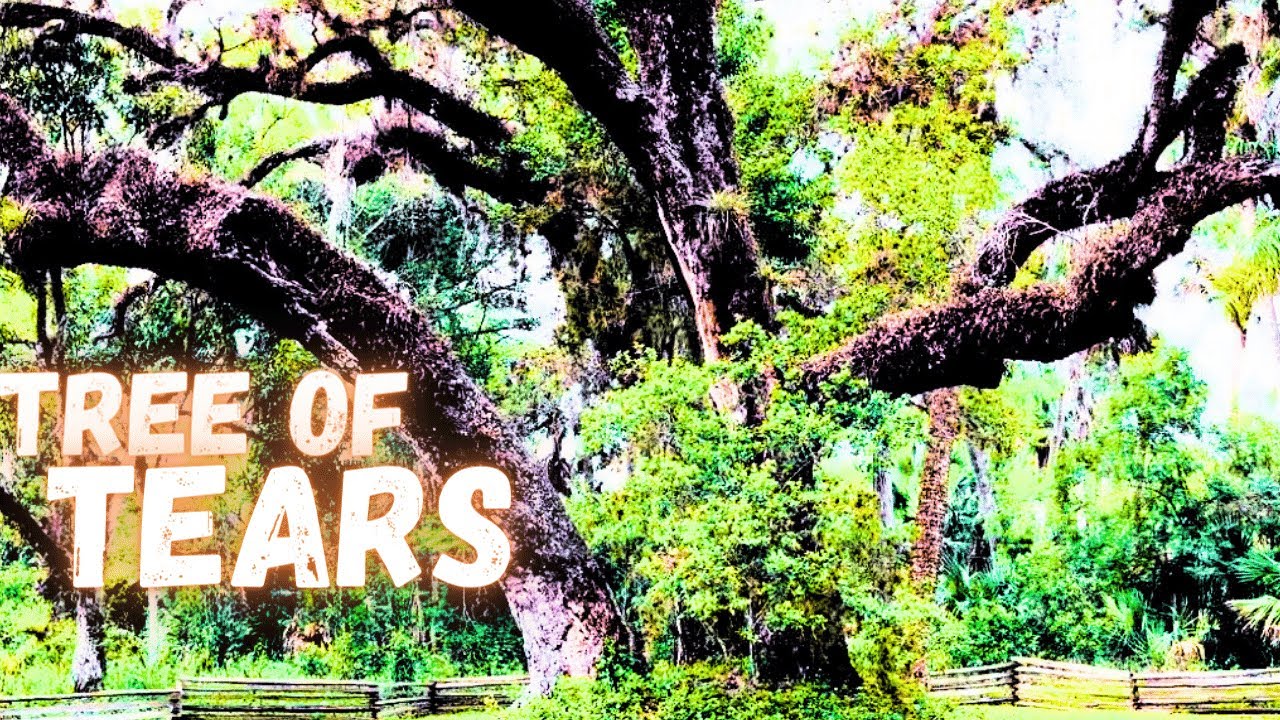 Spirit box session at the Tree of Tears! - YouTube