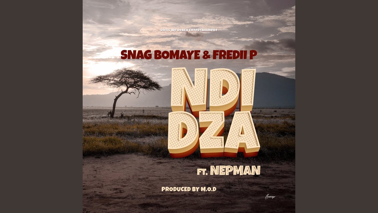 Ndidza (feat. Nepman) - YouTube