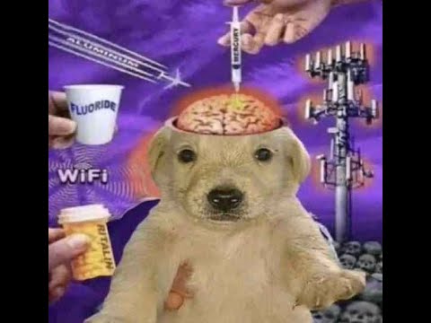 Goonmaxxing Gooner Gets Gooned In Goonerville - YouTube