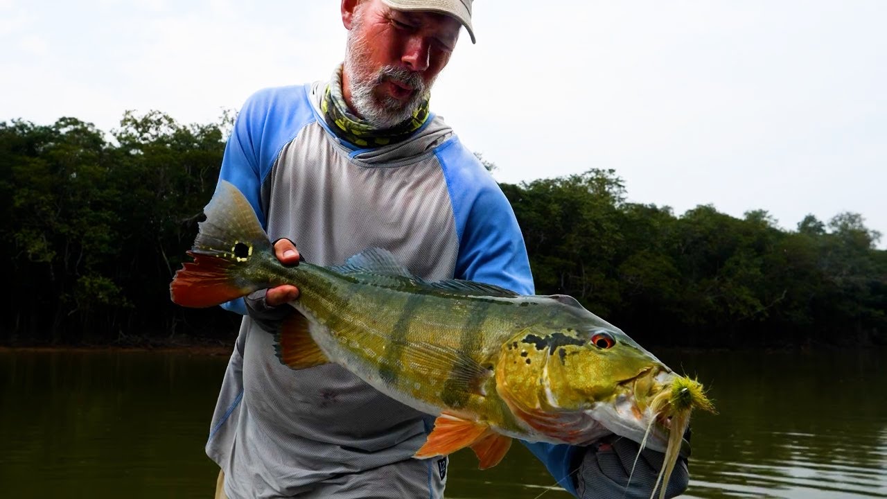 FISHING SACRED WATERS IN THE MIDDLE OF THE AMAZON JUNGLE. - YouTube