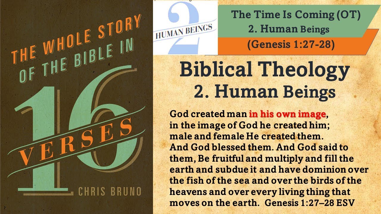 The Bible in 16 Verses: 2. Human Beings Genesis 1:27-28 - YouTube