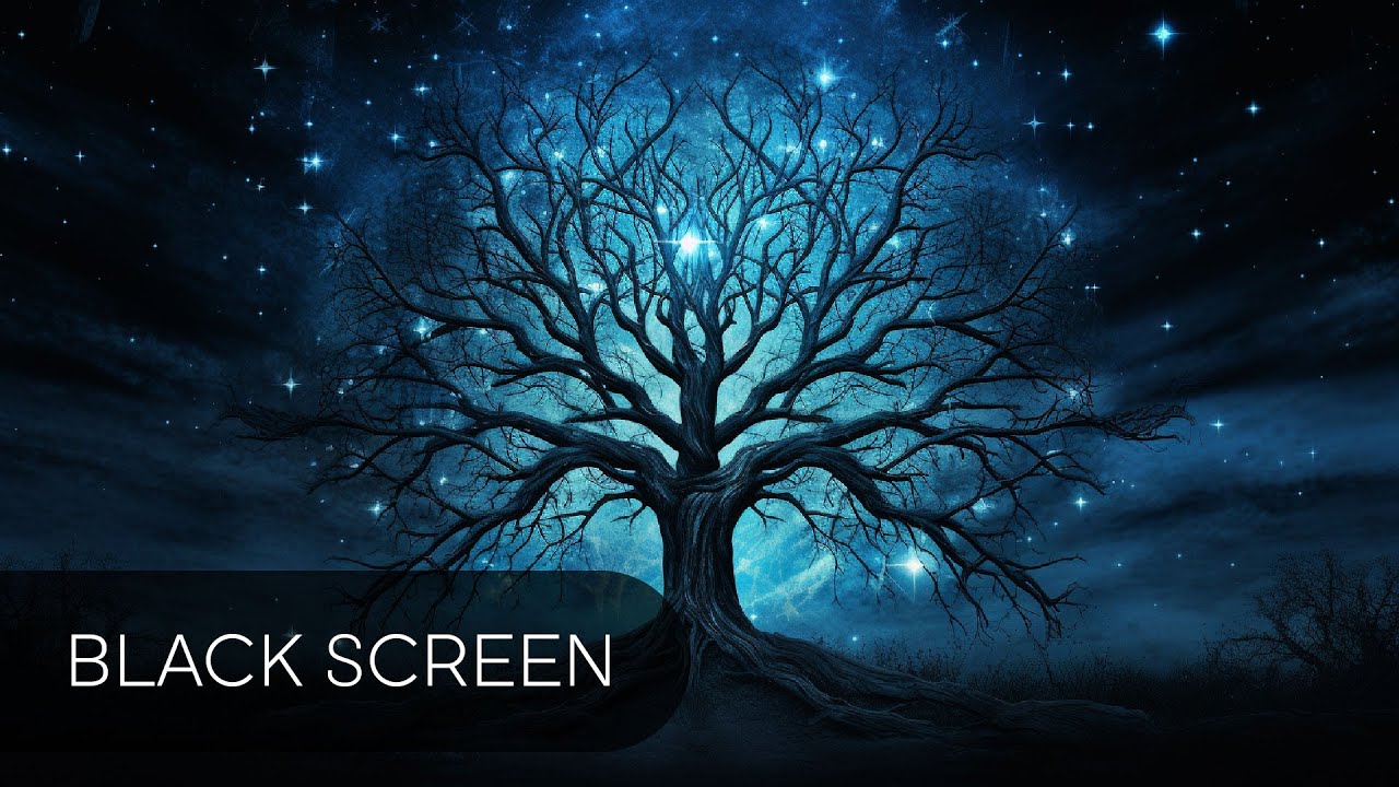 Night Lucid Dream Tree - black screen #luciddreams #meditation # ...