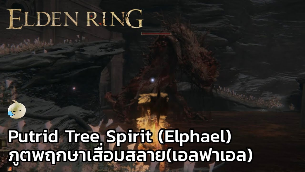 Putrid Tree Spirit (Elphael) ภูตพฤกษาเสื่อมสลาย(เอลฟาเอล) - YouTube