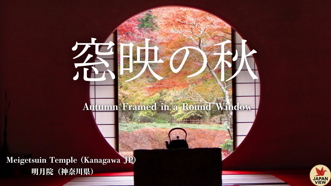 【Lo-fi Jazz BGM】Autumn Reflections in the Round Window – Study & Relax ...