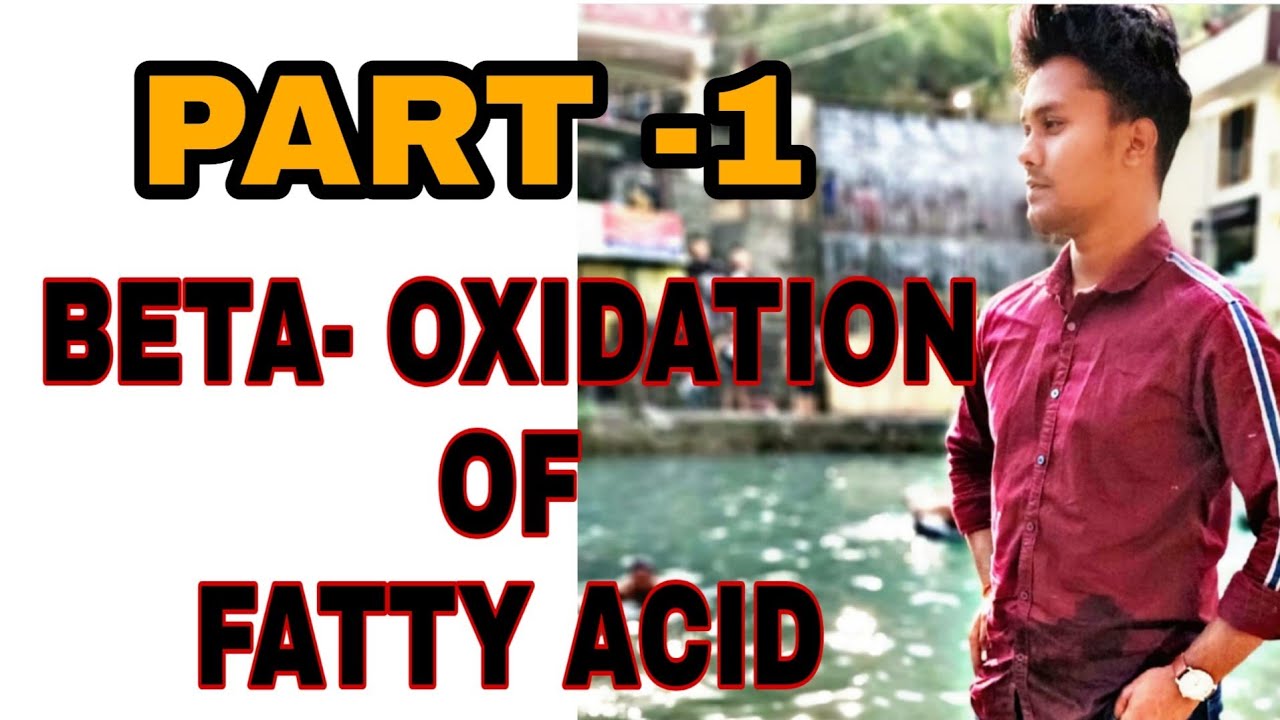 Beta- oxidation of FATTY ACID /(PALMITIC ACID)PART- 1 ( ACTIVATION OF ...