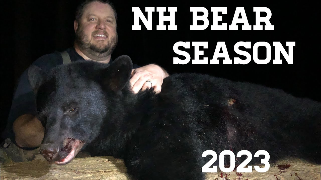 FIRST EVER BEAR DOWN! {2023 New Hampshire Bear Season} - YouTube