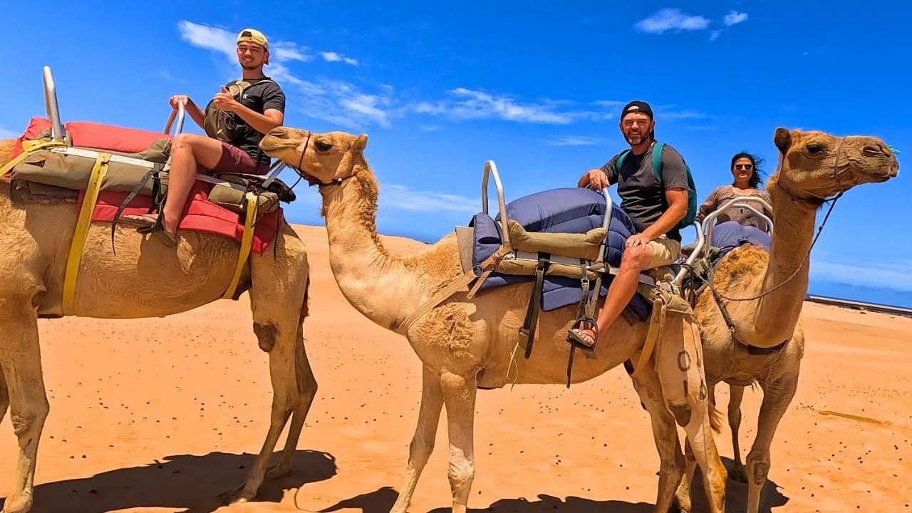 We are RIDING CAMELS in the NAMIB DESERT - Swakopmund Namibia 🇳🇦 - YouTube