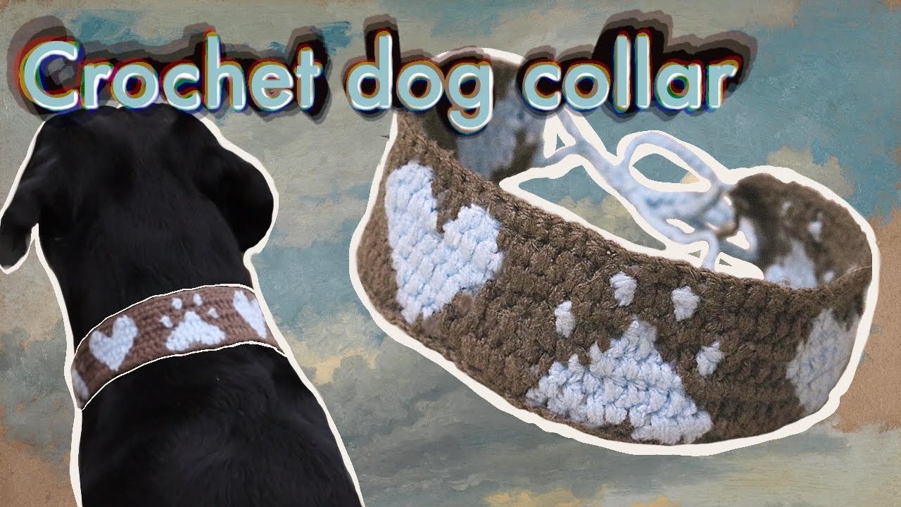 I Crocheted a Dog Collar in Just 30 Minutes (And It Looks Amazing ...