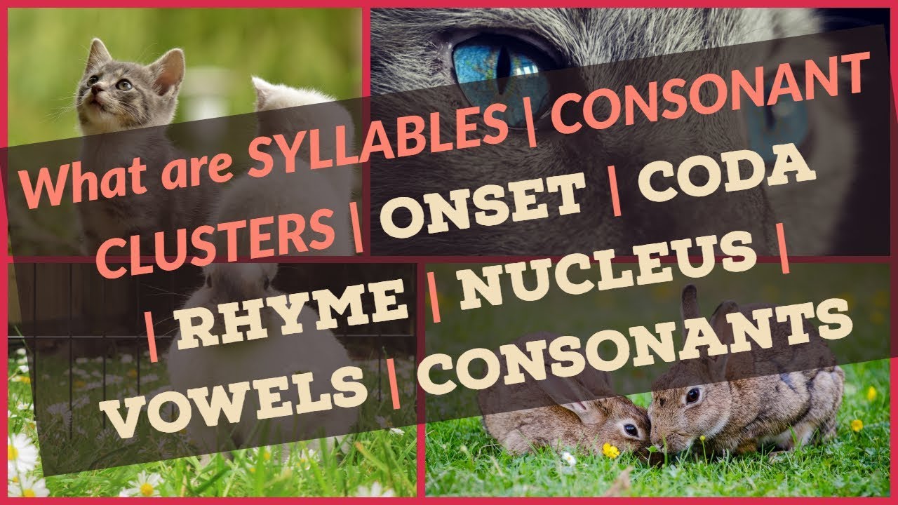 Syllables | Onset | Rhyme | Nucleus | Coda | Consonant Clusters ...