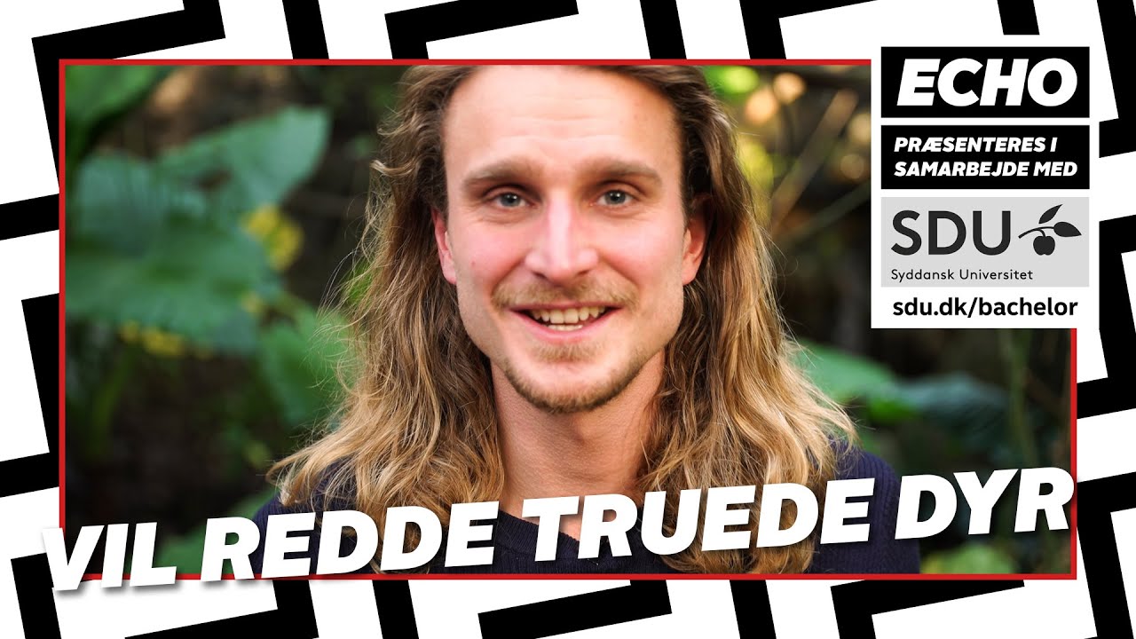 Annoncørbetalt indhold: Alexander tegner truede dyr for at dele sin ...