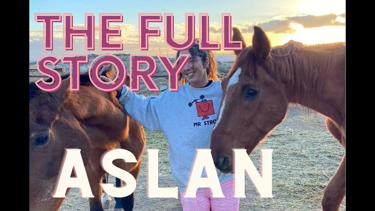Aslan's full, sad story. WARNING some of the scenes could be disturbing ...