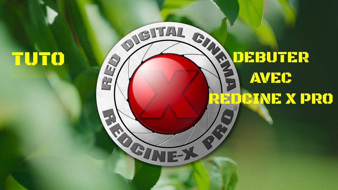 Découverte de REDCINE-X PRO et comment modifier ses iso en post production - YouTube