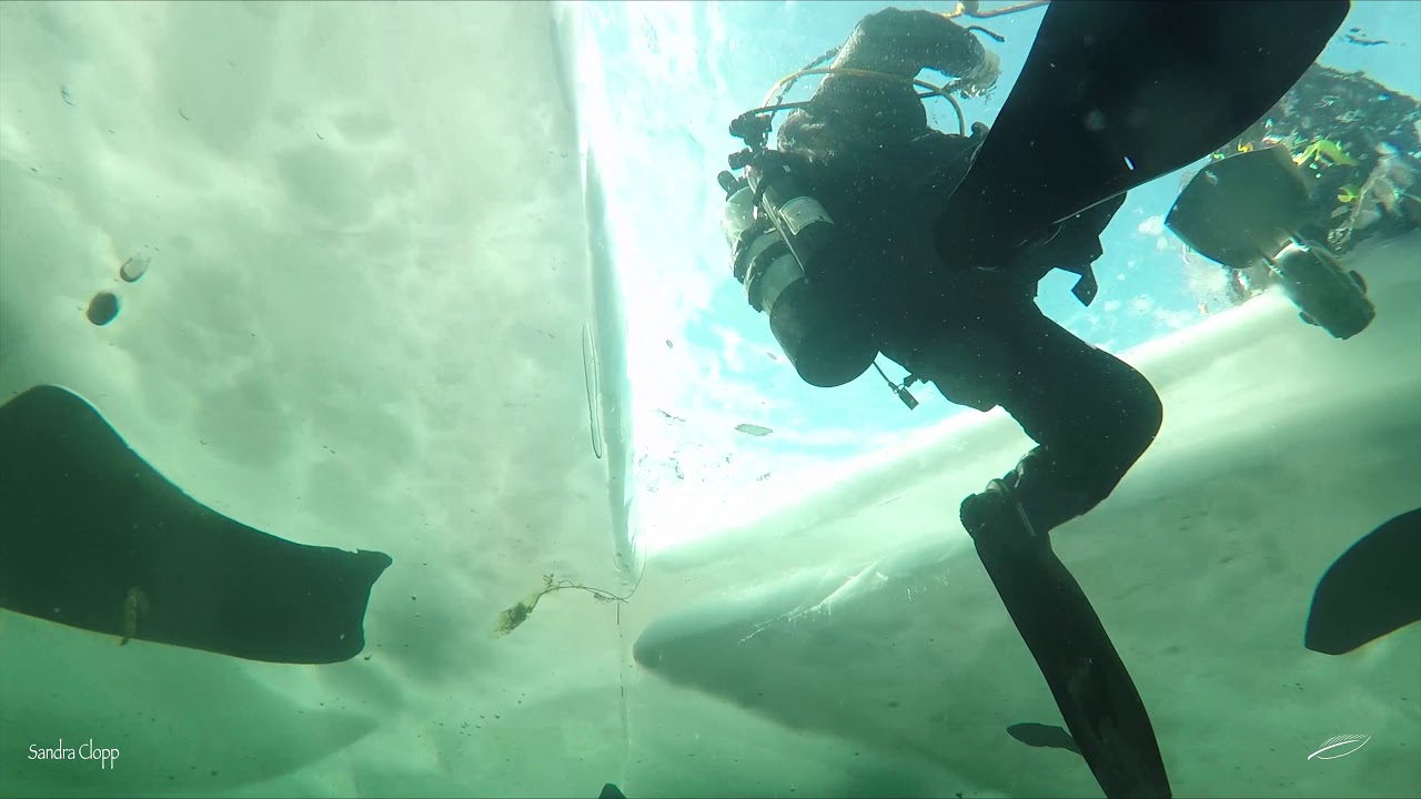 Ice Diving The Islander Shipwreck w/ Deep Stop Scuba & Urban Manta ...