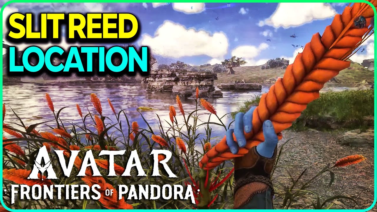 Slit Reed Location Avatar Frontiers of Pandora - YouTube