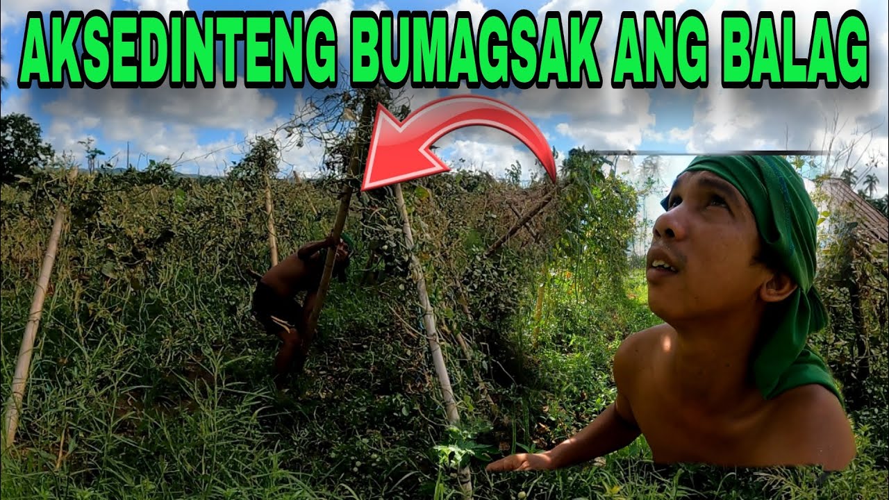 DI INAASAHANG PAG BAGSAK NG BALAG - YouTube