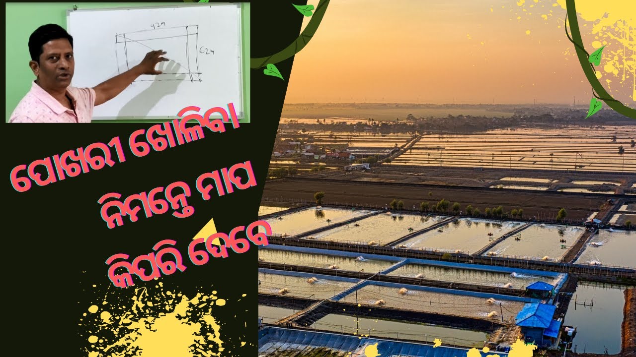 ମାଛ ପୋଖରୀ ପାଇଁ ମାପ | Fish Pond Layout | Fish Farm Layout - YouTube