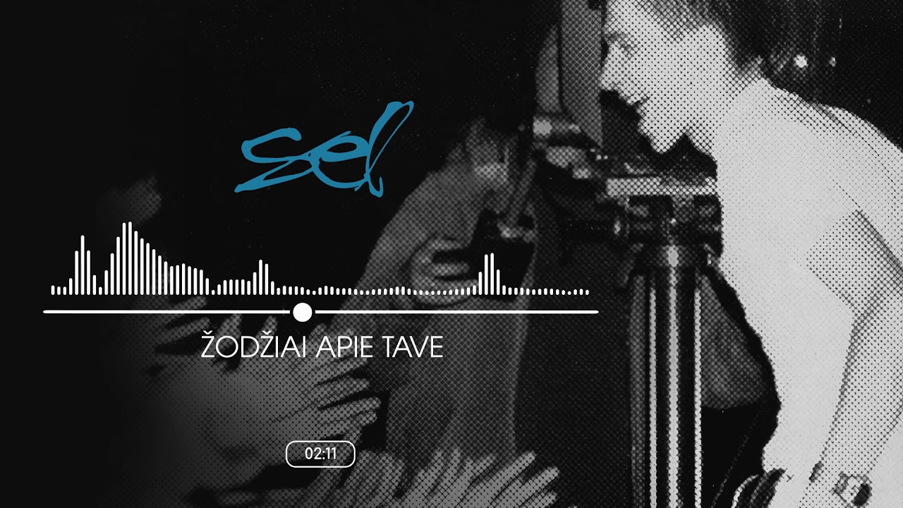 SEL oficialus kanalas – Dainų Žodžiai, Karaoke