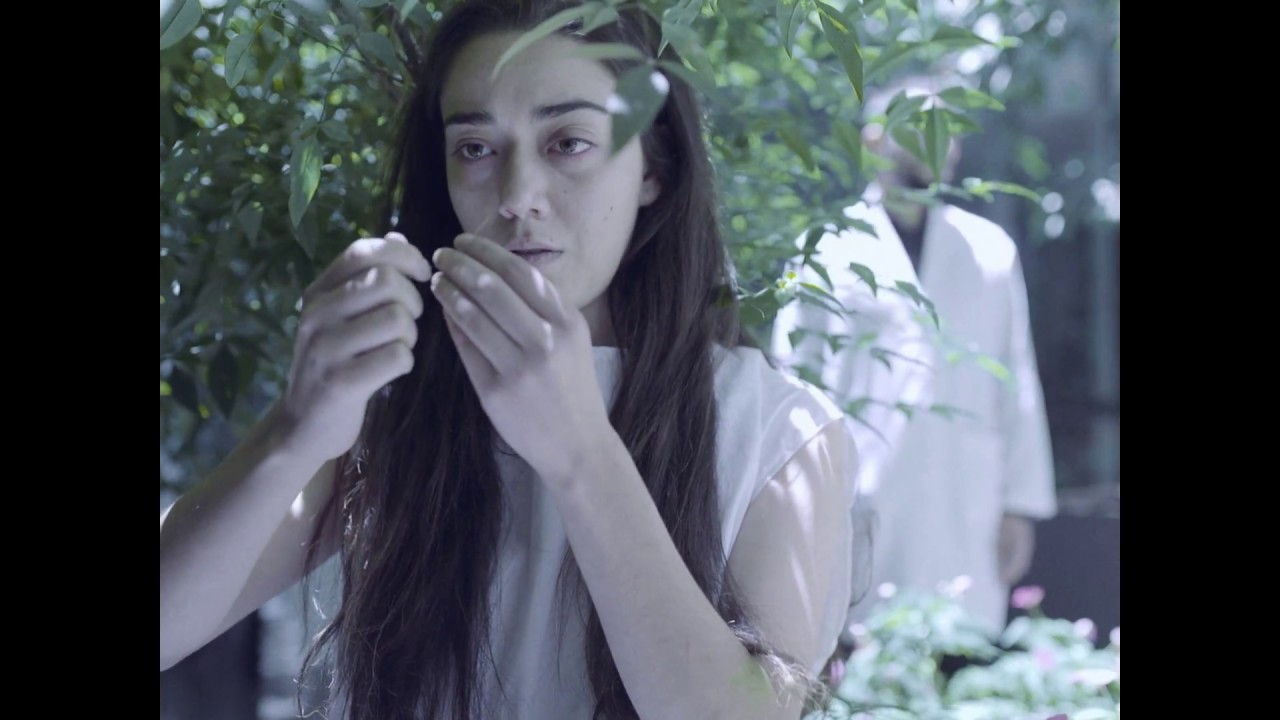 El cómodo silencio de los que hablan poco - Despedida (Video oficial) - YouTube