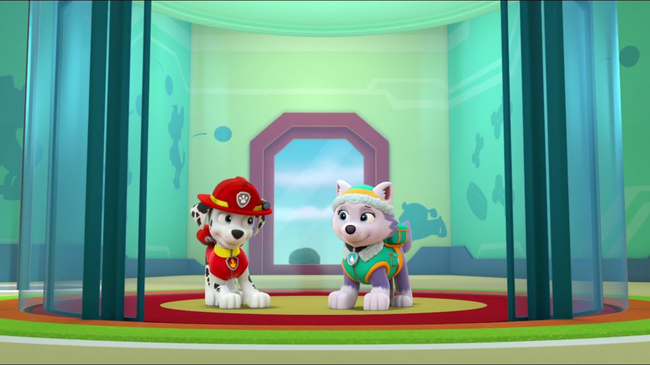 Marshall Opts To Take The Slide Instead - Paw Patrol - YouTube