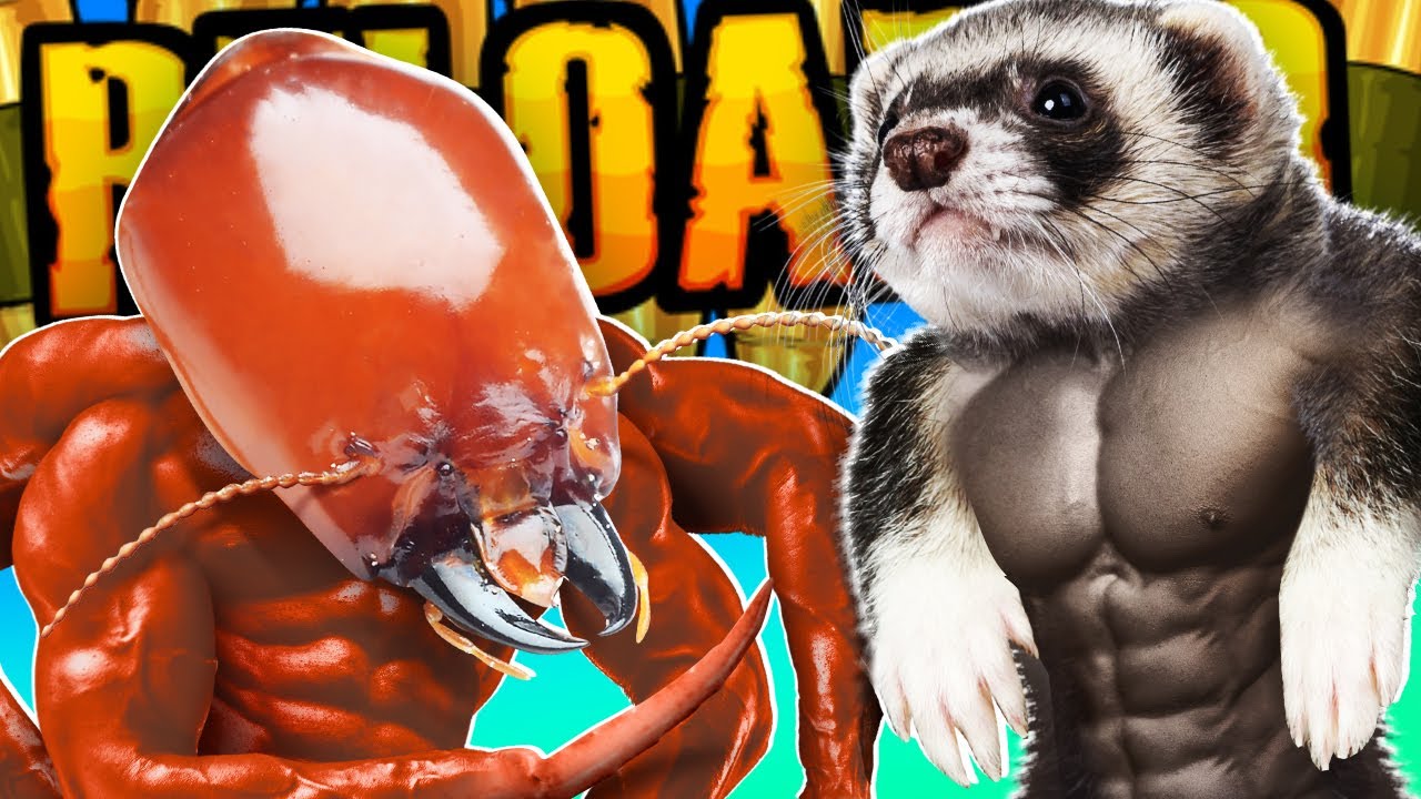 Termites & Ferrets the ULTIMATE combo - Worms Reloaded - YouTube