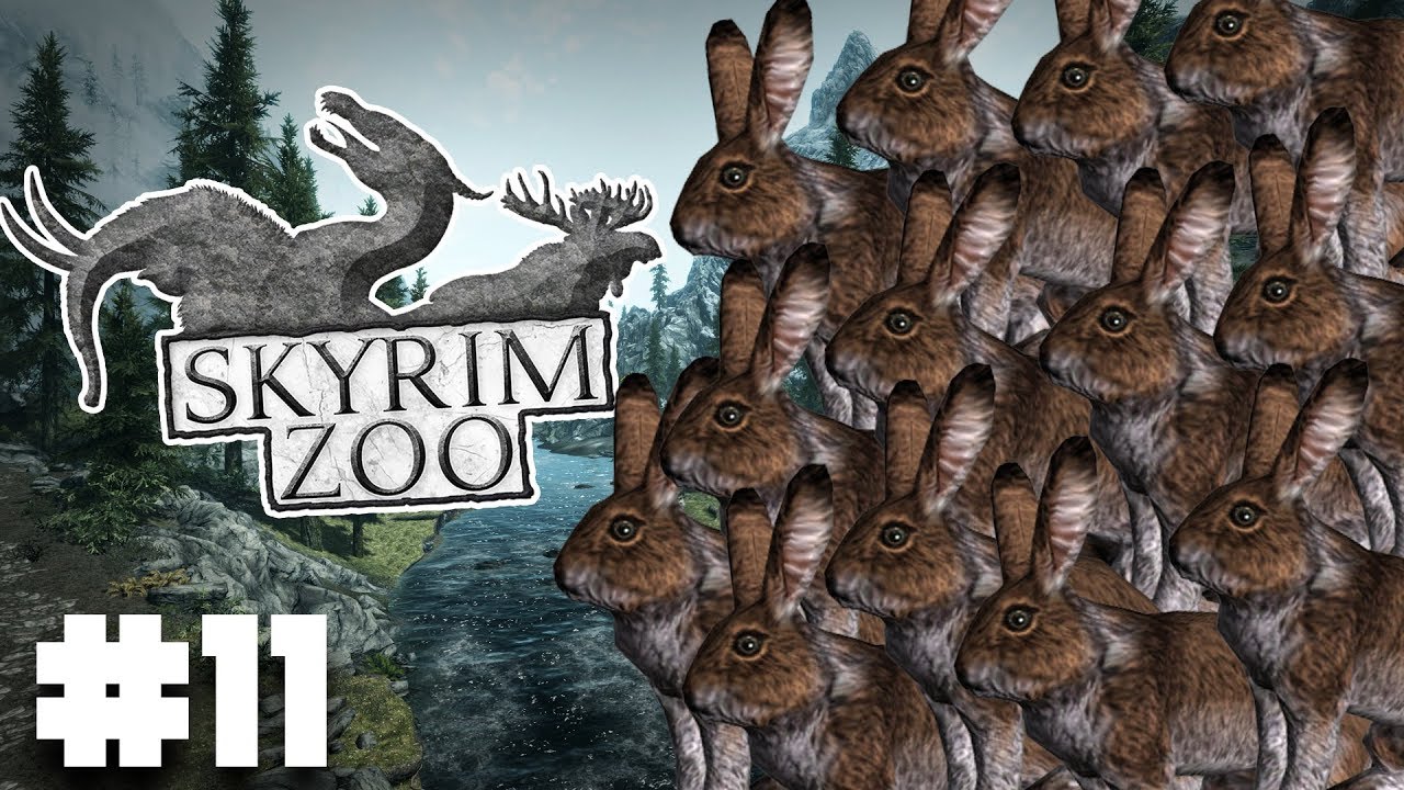 Skyrim Zoo - Chapter 11: The Rabbit Apocalypse Cometh - YouTube