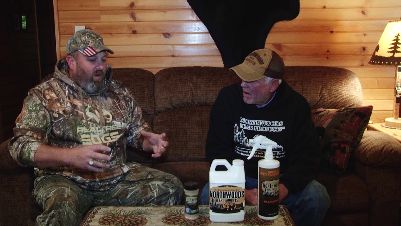 Best practices for bear baiting - YouTube