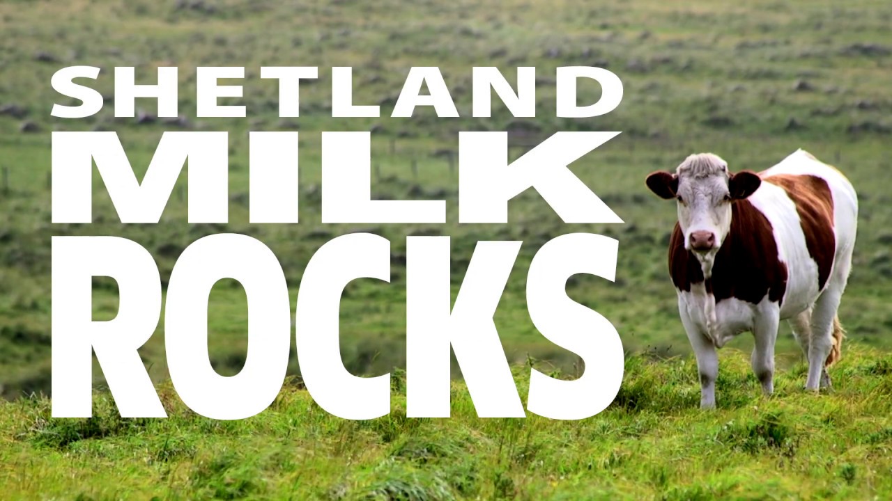 Shetland Milk Rocks - YouTube