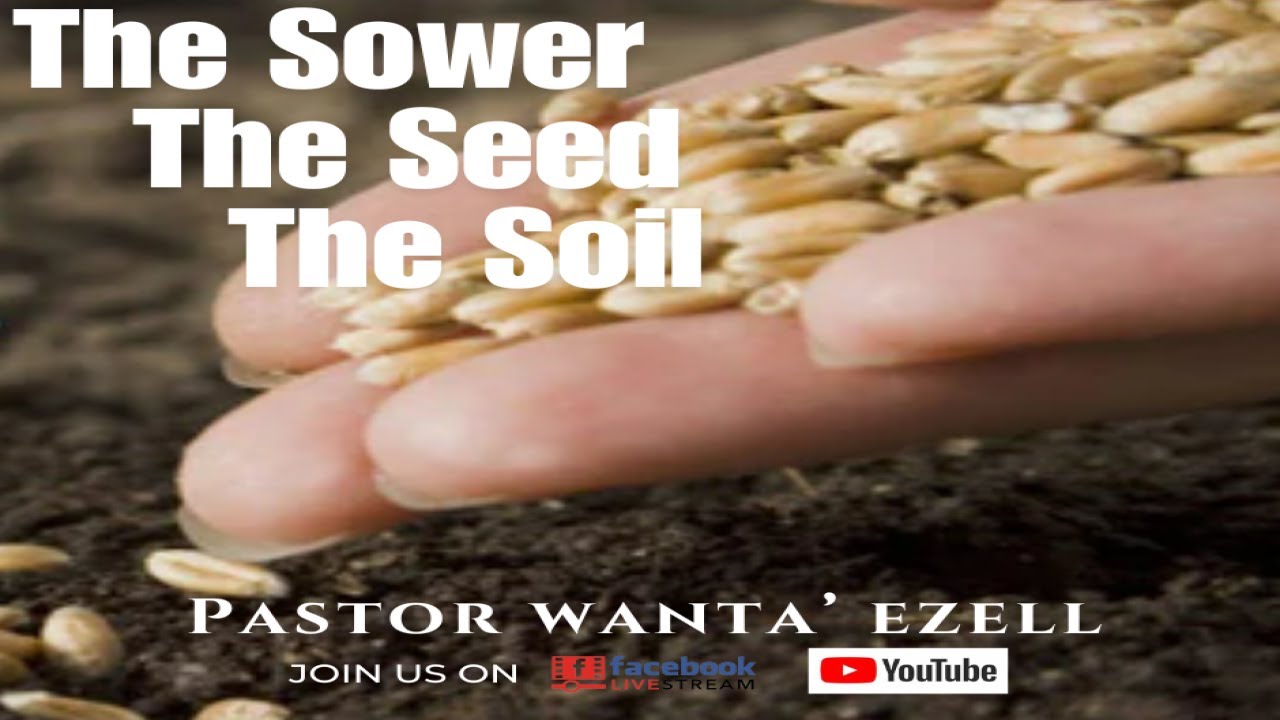 The Sower, The Seed, The Soil - YouTube