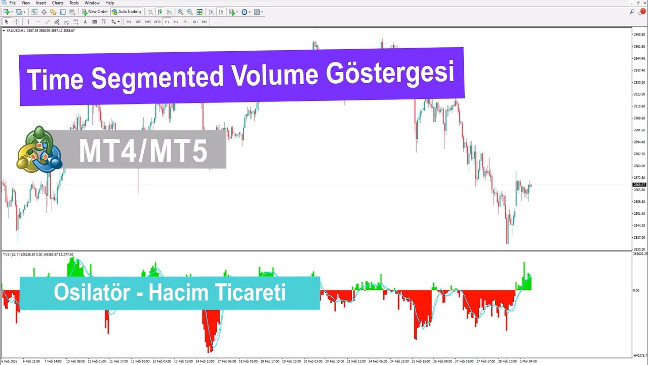 🎯 Time Segmented Volume Göstergesi MetaTrader 4 için İndir - Ücretsiz ...