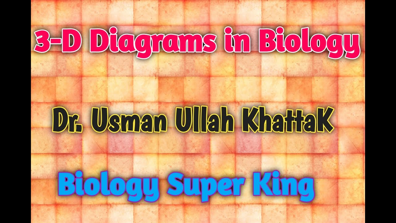 3-D Diagrams in Biology|| By Usman Ullah KhattaK|| Biology Super King ...
