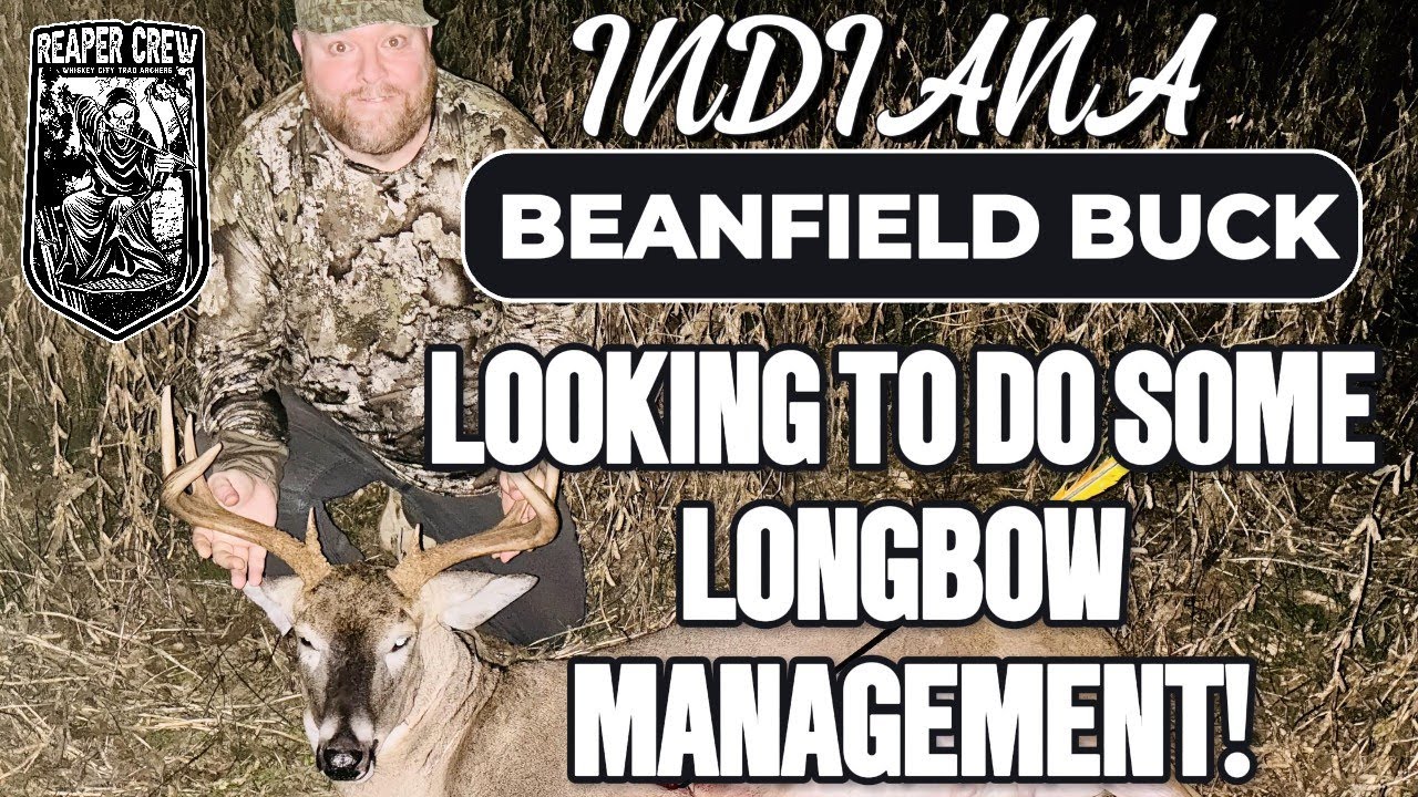 Heavy Indiana Whitetail Buck In The Bean Field: 4k Longbow Management ...