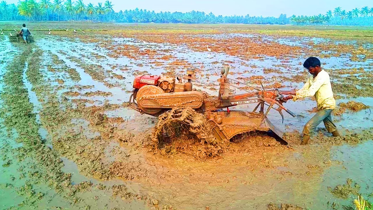 1+1 VST Tractors Pudding In One Field VST Shakti 130 DI | Cute Village ...