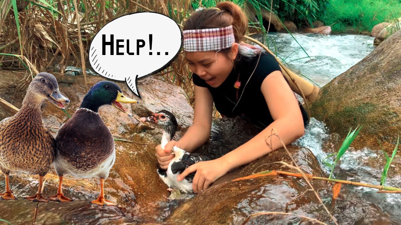 Catch Ducks video - Forest girl hunting ducks - YouTube
