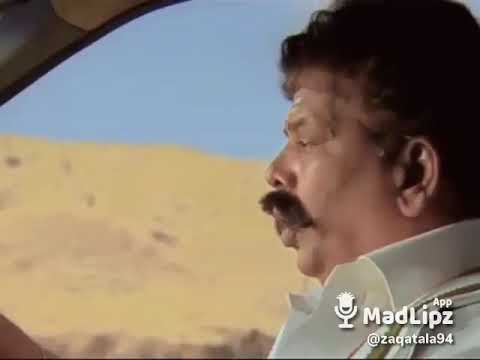 Nizami dayi parodi😂