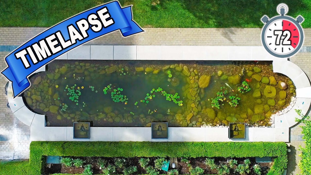 Formal Mansion Pond Timelapse! - YouTube