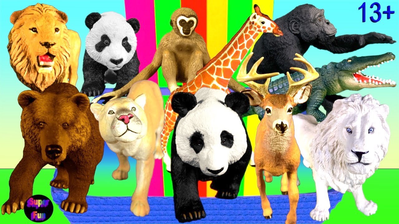 Zoo Animals - Lion, Cougar, Giraffe, Panda, Grizzly, Crocodile, Chimp ...
