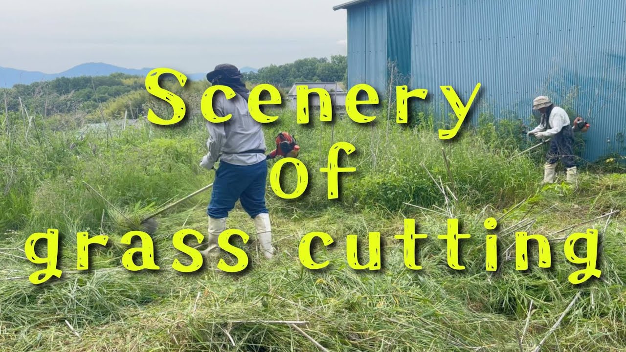 Scenery of grass cutting [BGM for work] 作業用 - YouTube