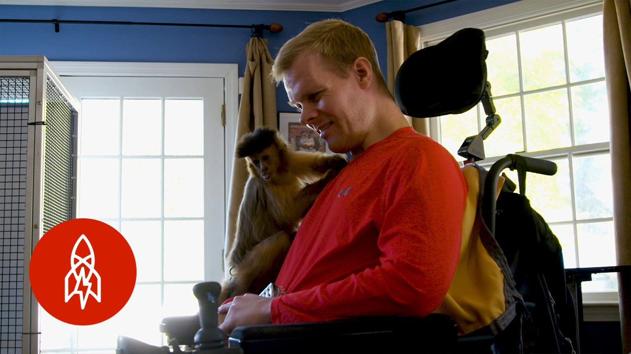 After an Injury, These Primates Will Lend a Helping Hand - YouTube