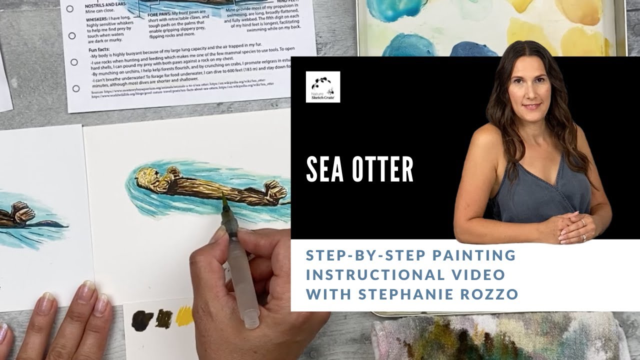 Sea Otter watercolor tutorial: EASY/beginner. For Nature Sketch Crate ...