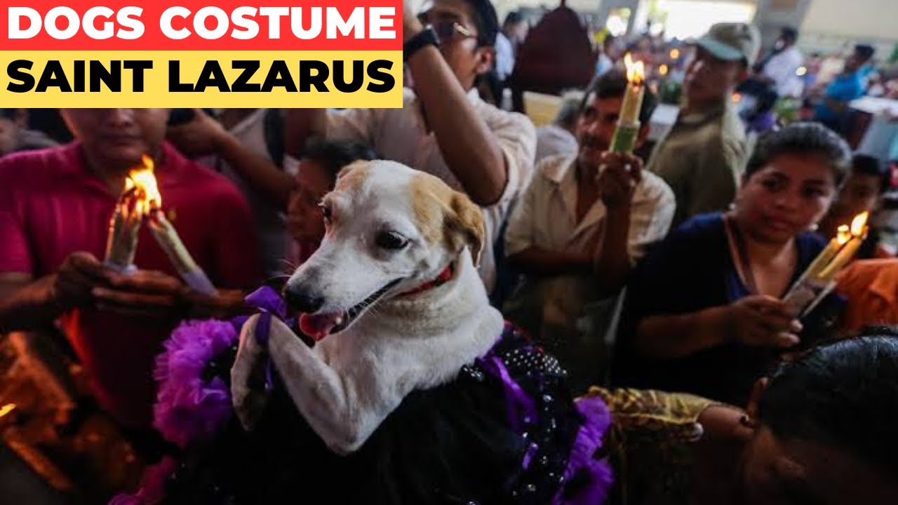 Dog owners bring their pets to be healed by St Lazarus at this festival ...