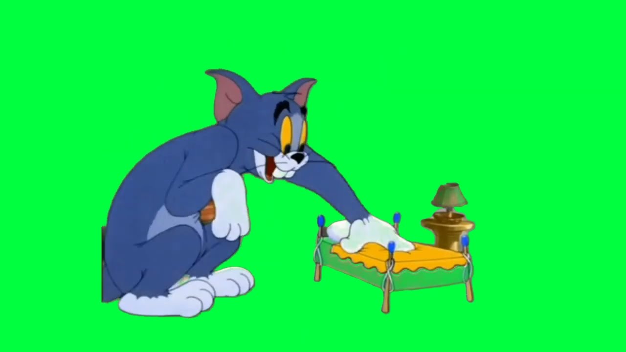 Green Screen Cartoon Tom and Jerry | Tom and Jerry Green Screen | Green ...