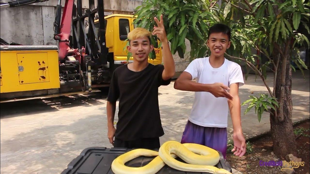 The English Bros are back and they've got something special for you ...